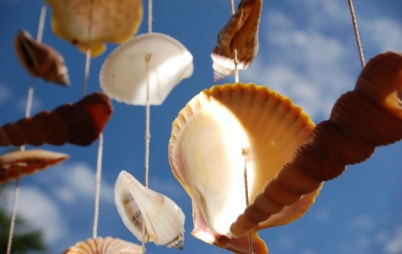 Fun Beach Themed Things You Can Do at Home